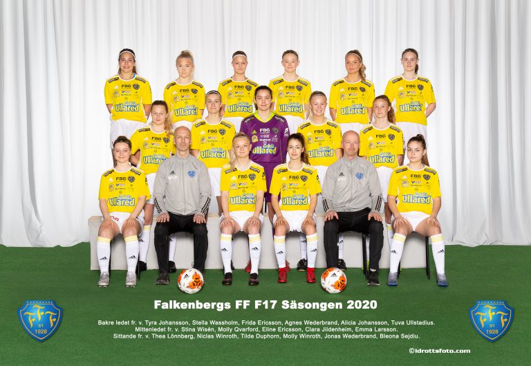 F17 - Falkenbergs FF